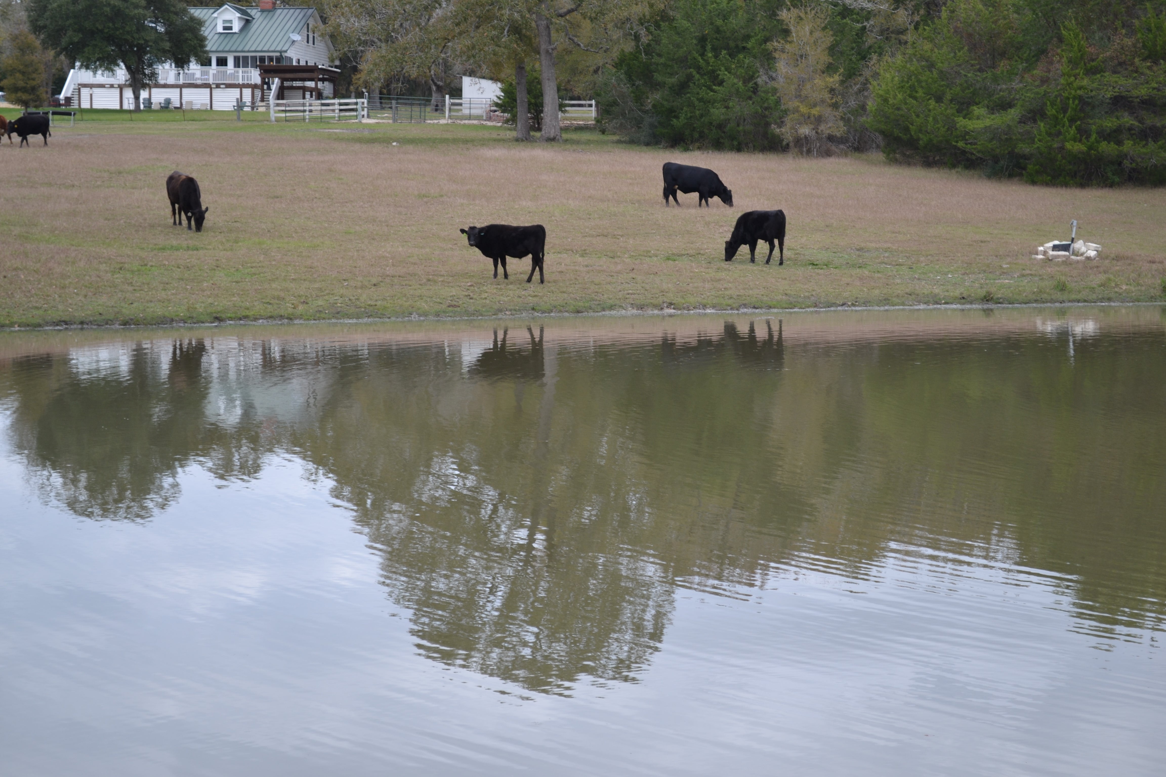 Our Property – Tres Pastos Cattle Company